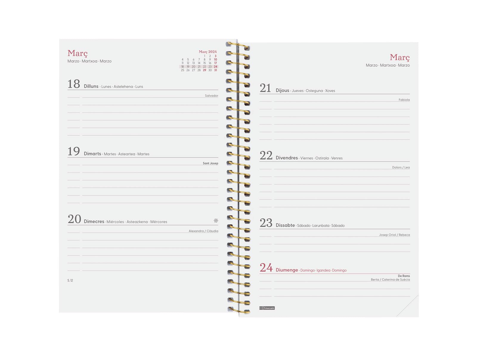 Finocam - Planner 2024 Spiral Design Collection Week Horizontal View January 2024 - December 2024 (12 Months) Goldy Catalan