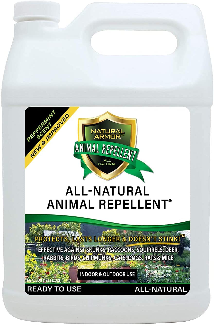 Natural Armor Animal & Rodent Repellent Spray. Repels Skunks, Raccoons, Rats, Mice, Deer Rodents & Critters. Repeller & Deterrent in Powerful Peppermint Formula – 128 Fl Oz Gallon Refill Case of 4