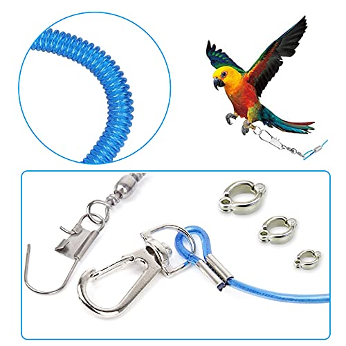 Wishlotus Parrot Flying Rope, 5 Meters Parrot Foot Chain Flying Training Leash Outdoor,Anti-Bite Elastic String Training Harness for Agapornis Fischeri Cockatiels Starling Birds (Blue)