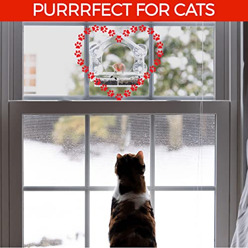 Nature Anywhere Premium Clear Plastic Window Bird Feeder for Outside - Window Bird Feeders with Strong Suction Cups - Transparent Bird Feeder Window Mount Acrylic Bird House for Cat Window Perch