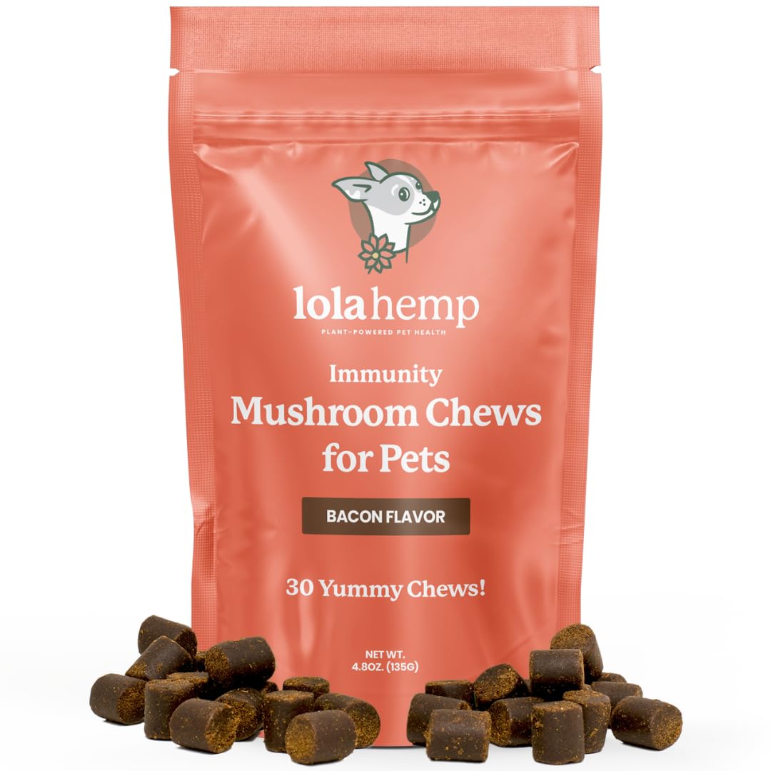 Lolahemp Mushroom Supplement for Dogs - Tasty Chews with Organic Mushroom Complex for Immune System & Cognitive Health - Turkey Tail, Reishi, Shiitake, Maitake & Lion's Mane