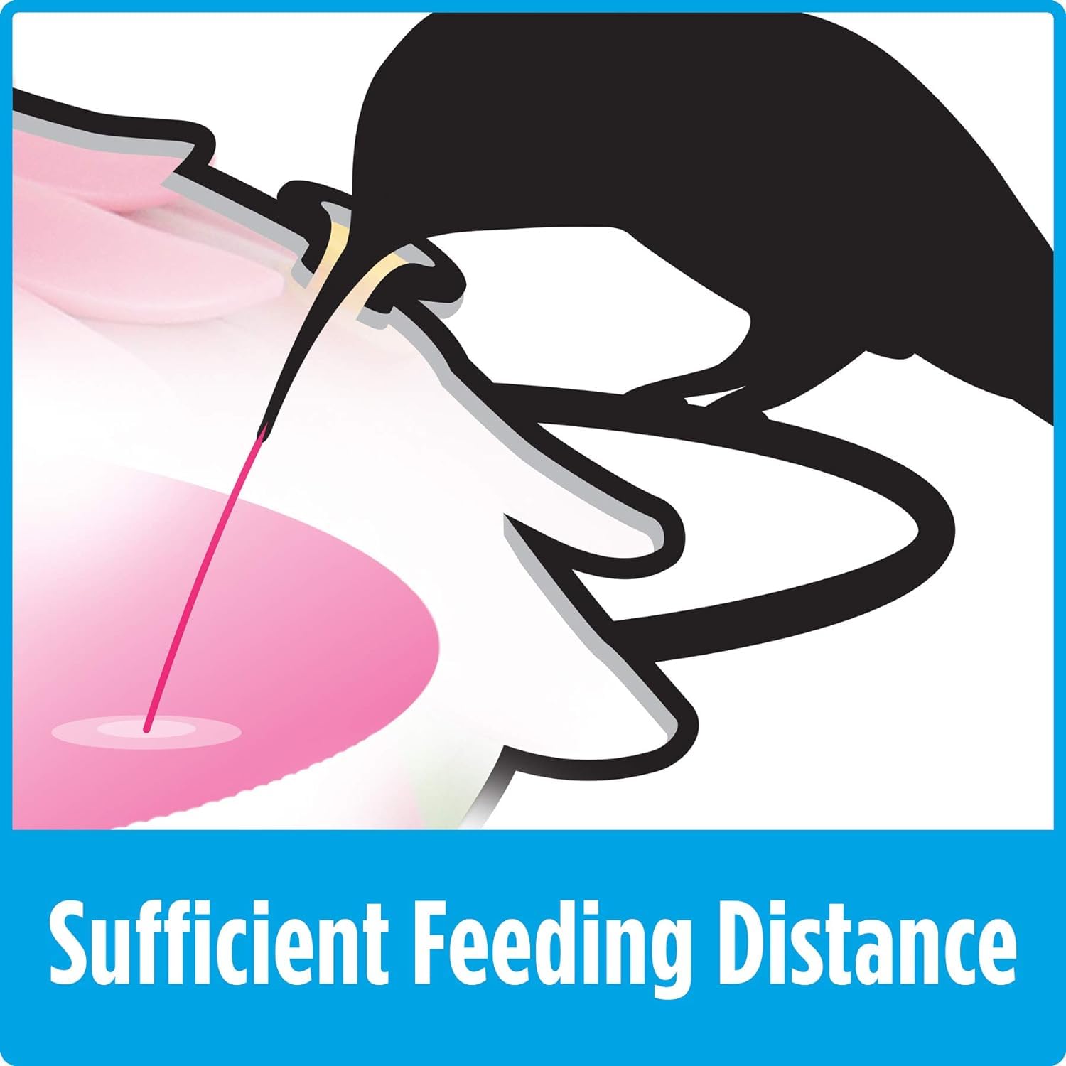 Nature's Way Bird Products MJF1 Nature's Way Mason Jar Hummingbird Dish Feeder, Clear 4" dia.