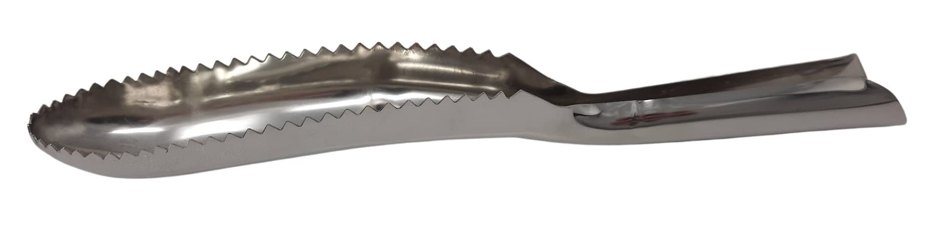 Fish Scraper - Morty the Knife Man Commercial Kitchen Scaler