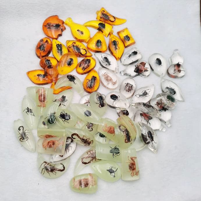 Multiple Psc Insect Amber Fossils, Luminous Amber Fossil Pendants, Educational and Scientific Amber Collections (12Pcs)
