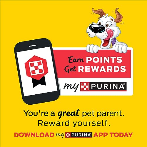 Purina Beggin' Strips Dog Treats, Original With Bacon Flavor - (2) 26 oz. Pouches