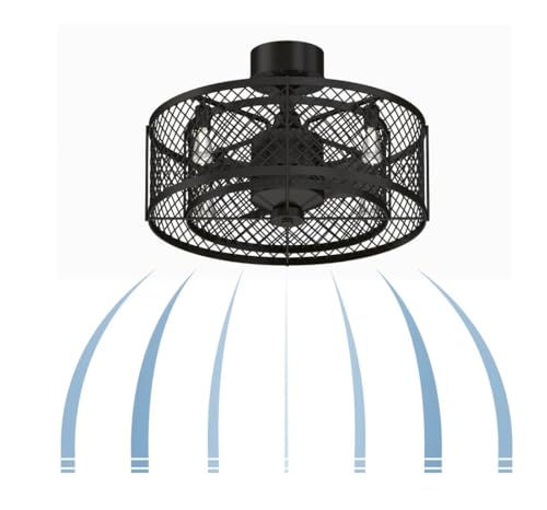 Fanimation Studio Collection LP8350BLAZ Vintere Caged Ceiling Fan with LED Light Kit, 20 Inch, Aged Bronze