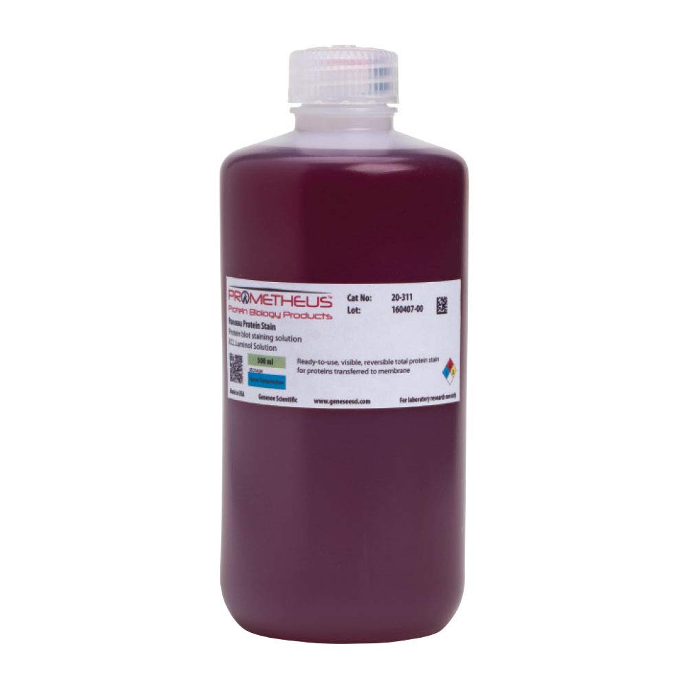 Ponceau Total Protein Stain, Visible, Reversible, 500ml/Unit