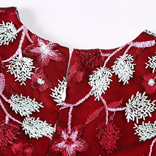 Dinosaur Toddler Dress Kids Girls Patterns Sleeveless Party Hoilday Weddings Elegant Lace Tulle Clothes (Red, 2-3 Years)