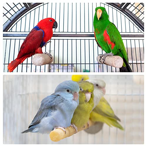PATIKIL 0.8x13.8 Inch Bird Cage Perch, Parrot Stand Paw Grinding Stick Bird for Parakeet Cockatiel Cage Accessory, Green