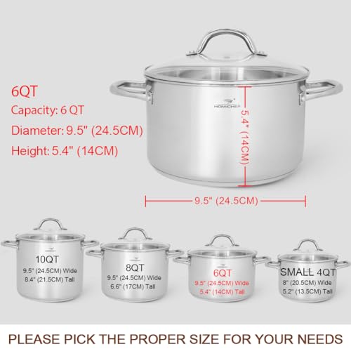 HOMICHEF Stock Pot 6 Quart Nickel Free Stainless Steel - 6 Quart Pot With Lid and Handle - 6Qt Saucepan With Lid - Soup Pot Small Cooking Pot 6 Quart - 6 Qt Pot With Glass Lid - Induction Pot With Lid