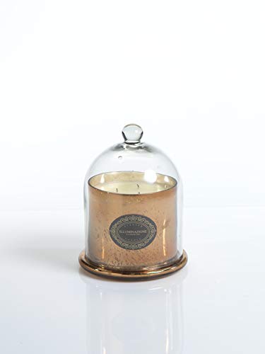 Zodax 6.5" Tall Medium Glass Dome, Vanilla Orchid, Antique Gold Jar Candles