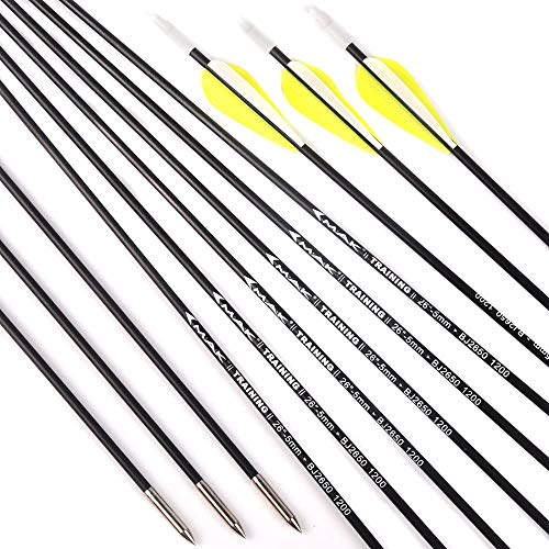 EROCK 28 inch Training Arrows-Archery Practice Target Arrows with Durable Shaft Blunt Tip for Kids Youth or Beginners on Recurve Bow Long Bow(6pcs) (Yellow)