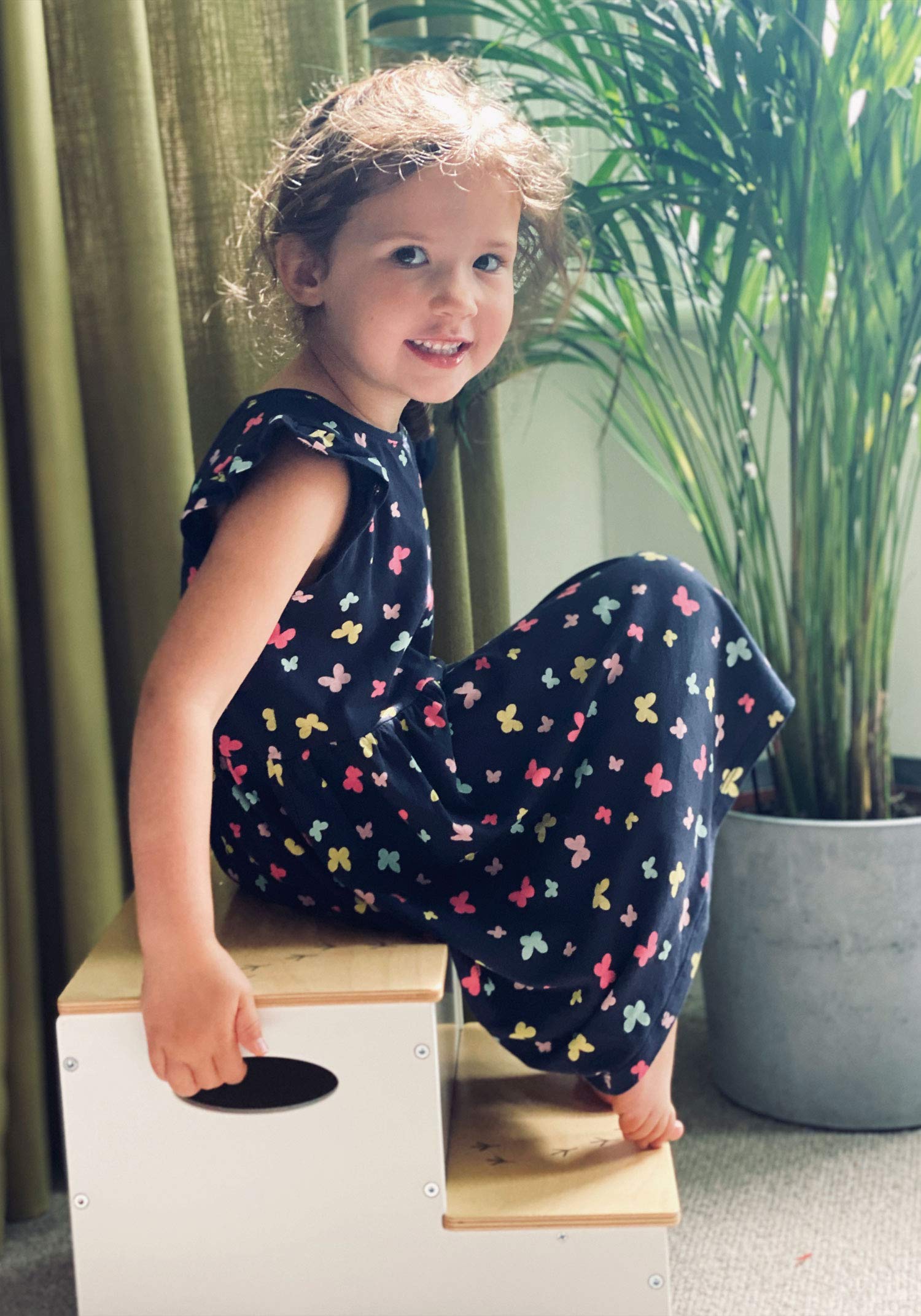 Tender Leaf Toys - Forest Steps - Lightweight and Portable Step Stool for Kids with Storage Space and Handles - Easy to Move, Great for Home, Kitchen, Nursery Room, and Countertop - Age 3+