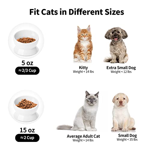 Nucookery Ceramic Cat Food Bowl Elevated,Raised Tilted Bowl Protect Pets' spines and Neck, Anti Vomiting Cat Bowl, Small Dog cat Kitten Supplies (5β, Pure White)