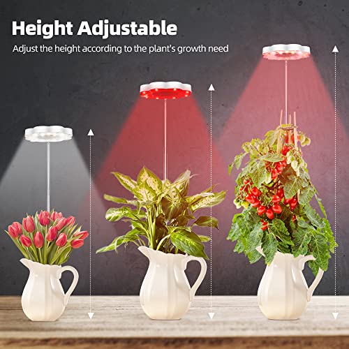 Grow Light, CANAGROW Full Spectrum LED Plant Lights for Indoor Plants, Height Adjustable Plant Halo Growing Lamps, Auto On/Off Timer, 3 Lighting Modes & 10 Dimmable Brightness for Small Plants