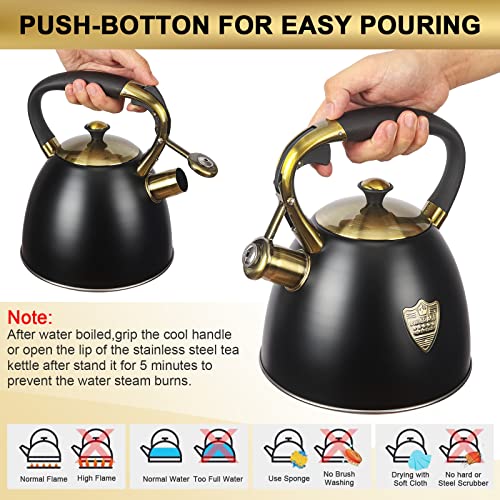 Tea Kettle -2.9 Quart Tea Kettles Stovetop Whistling Teapot Stainless Steel Tea Pots for Stove Top Whistle Tea Pot