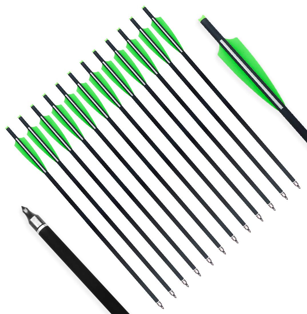 Feida 12 Packs Carbon Crossbow Bolts Arrows 20/22 Inches Hunting Arrows with Changeable Tips for Crossbow (22 Inches)