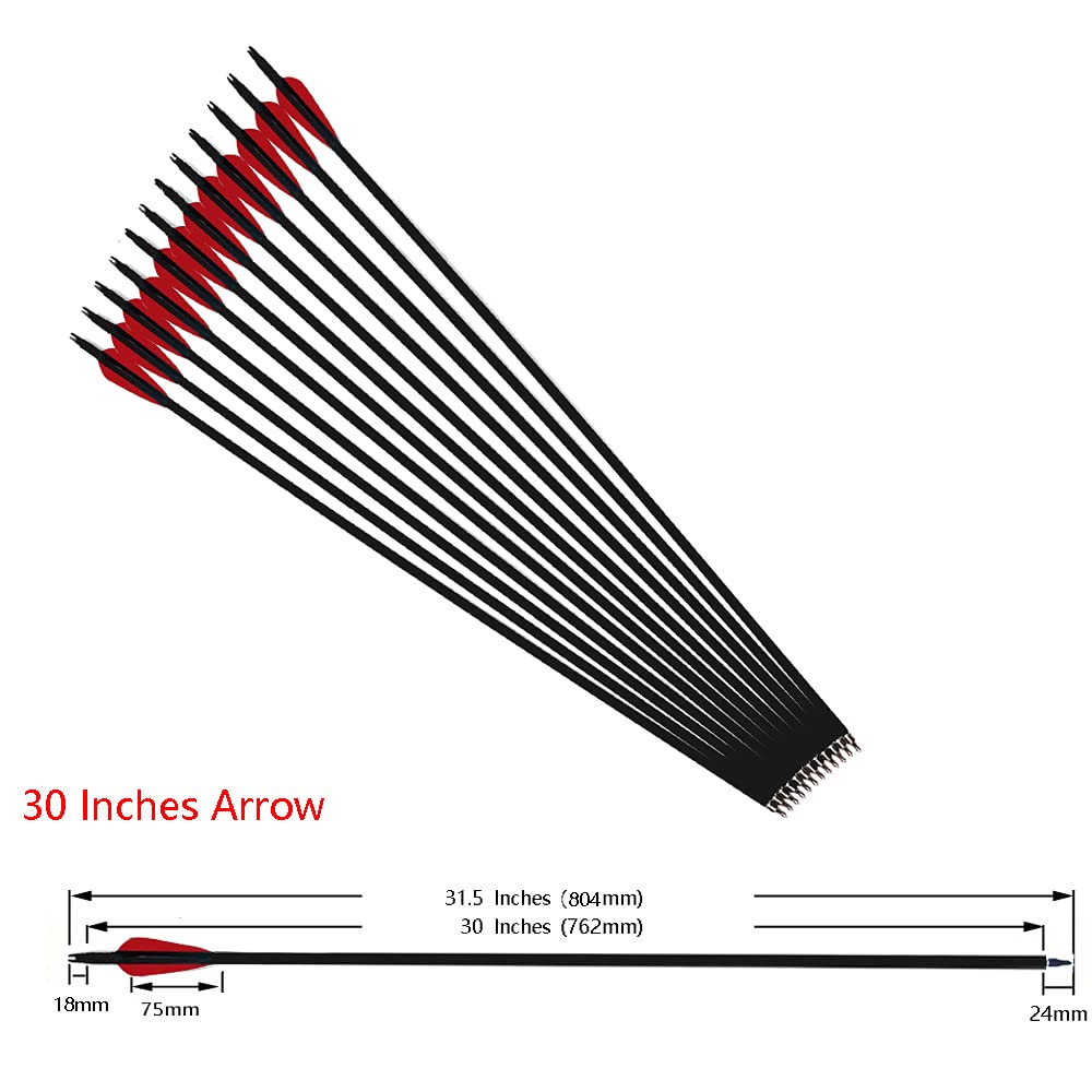 Gpoizmo 30 Inch Carbon Fiber Hunting Archery Arrows Target for Compound Bows& Recurve Bows with Removable Tips to Improve Practice Tips for Arrows