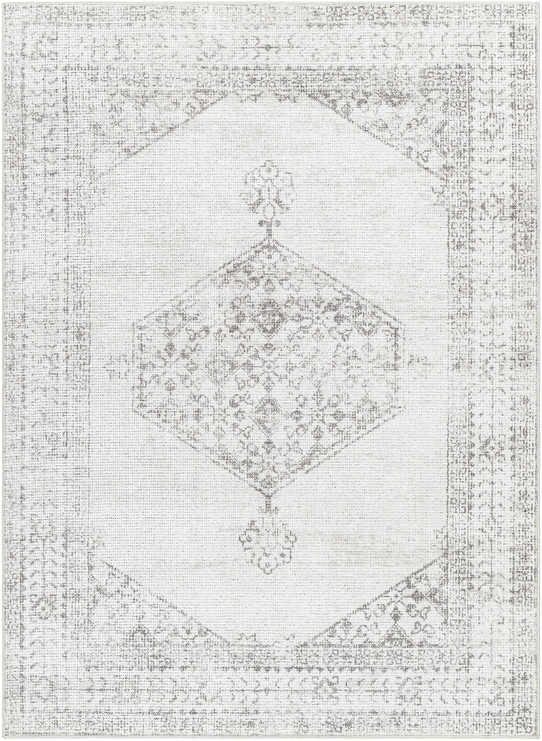 Livabliss x Our PNW Home Olympic Updated Traditional Area Rug, 9'2" x 12', Off-White