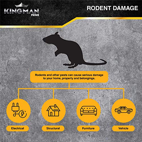 Kingman Prime Rat Mouse Rodent Pest Glue Trap (Large Size) Tray Heavy Duty (5 Pack/ 10Traps) with Connectors