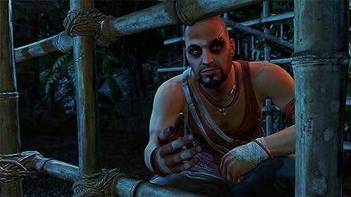 Far Cry 3 Classic Edition (PS4)