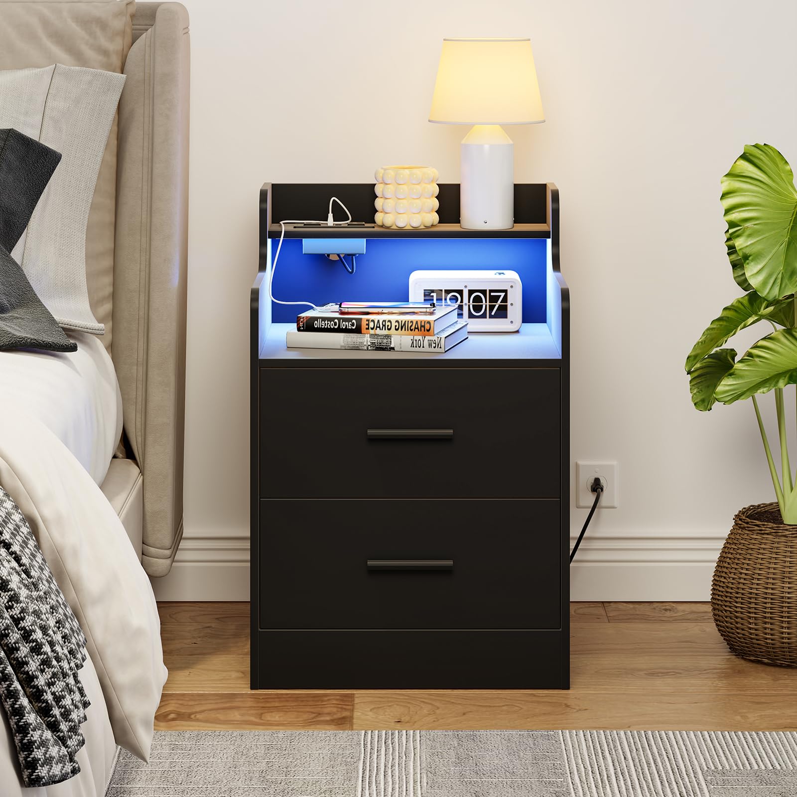 Nightstand with Charging Station,Modern Bedside Table with LED Light, Night Stand with 2 Drawers and Storage Shelves, Bedside Table for Bedroom,End Side Table Black Only One Piece (1, Black)
