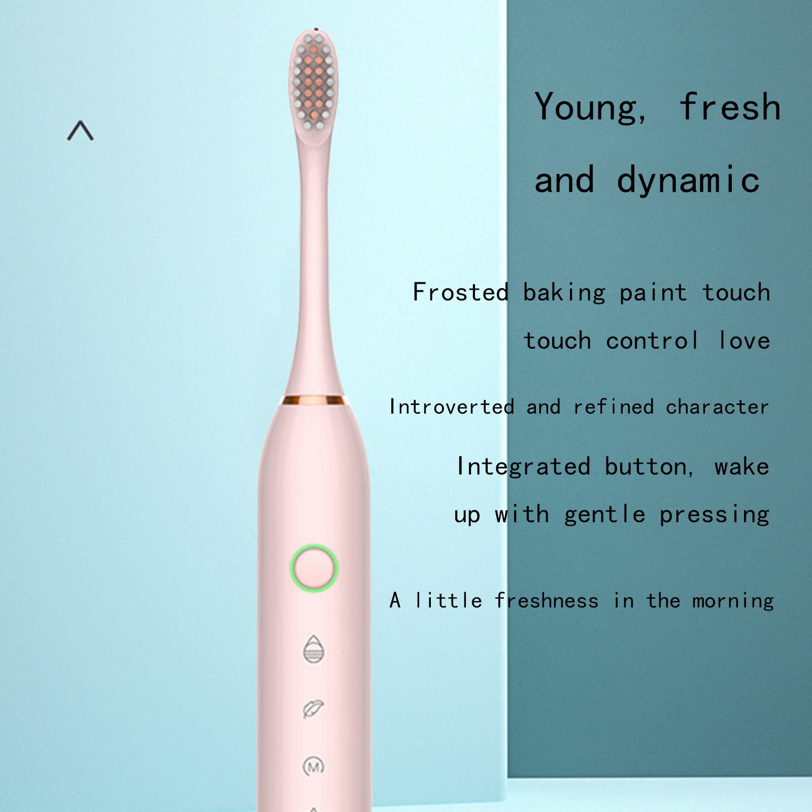 Electric Toothbrush with 4 Brush Heads, 6 Cleaning Modes, Smart Timer, IPX7 Waterproof Gentle and Effective Clean Teeth, Rechargeable Sonic Toothbrush for Adults