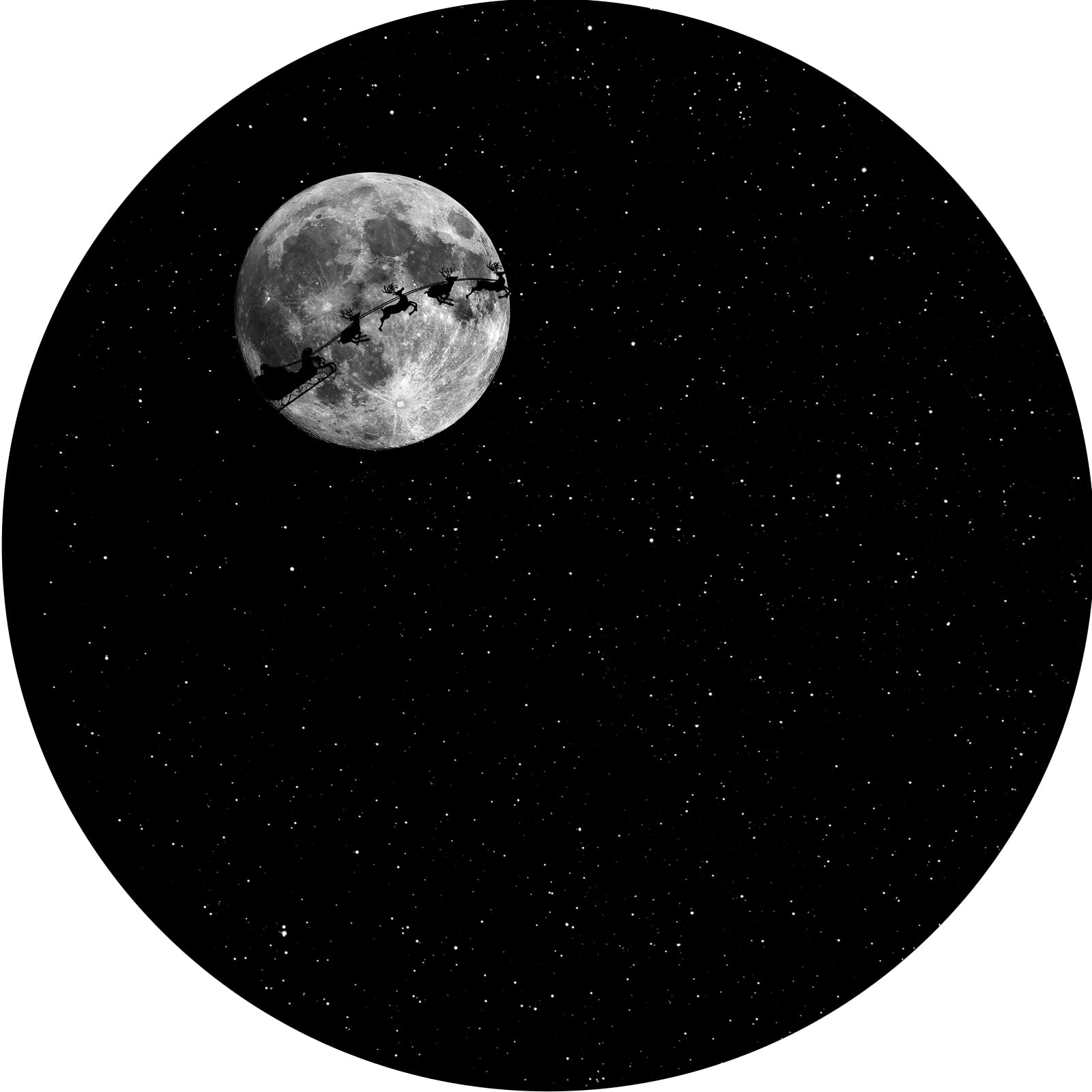 DULLEMELO Moon - Slide Discs Star Projector Galaxy Night Light, HD Display Slide for Planetarium Projector (No Projector)