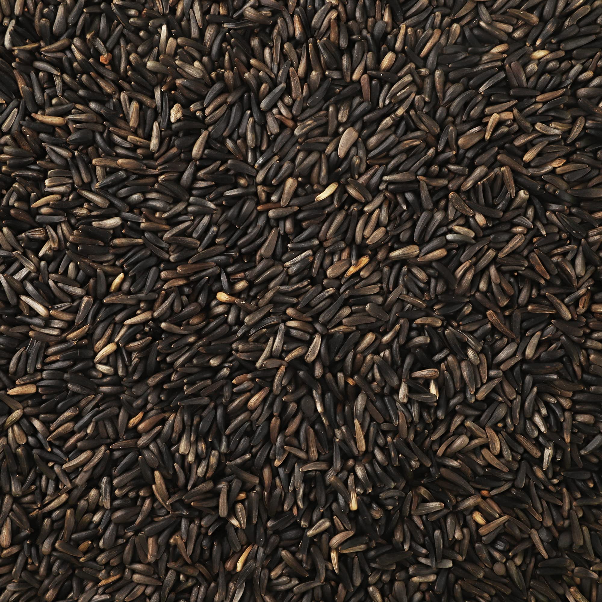 Happy Wings Nyjer/Thistle Seeds Wild Bird Food - 5 Pounds I No Grow Seed I Bird Seed for Wild Birds