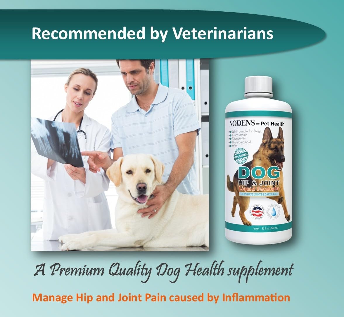 NODENS Dog Hip and Joint - Concentrated Glucosamine for Dogs with Chondroitin – Dog Joint Supplement for Natural Dog Pain Relief Anti-inflammatory for Improved Joint Flexibility and Mobility - 942 ml