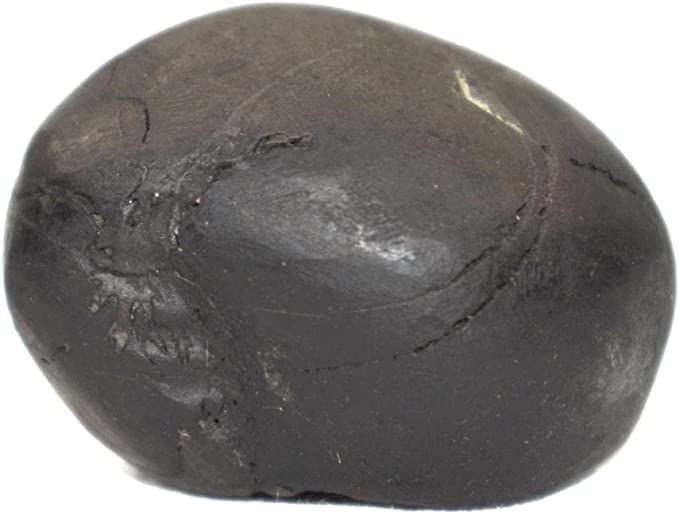 Shaligram Laxmi Narayan Shaligram Rudraksha Guru Narsihma Shaligram Kurma Shaligram
