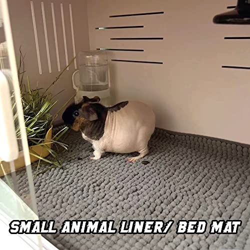 Jevnd 2Pcs Short Chenille Guinea Pig Cage Liner, Washable Rabbit Fleece Sleeping Bed Mat, Reusable Bunny Training Pad/Pee Pad/Blanket for Cat/Chinchilla/Hedgehog and Small Animals (19βx12.5β (2pcs))