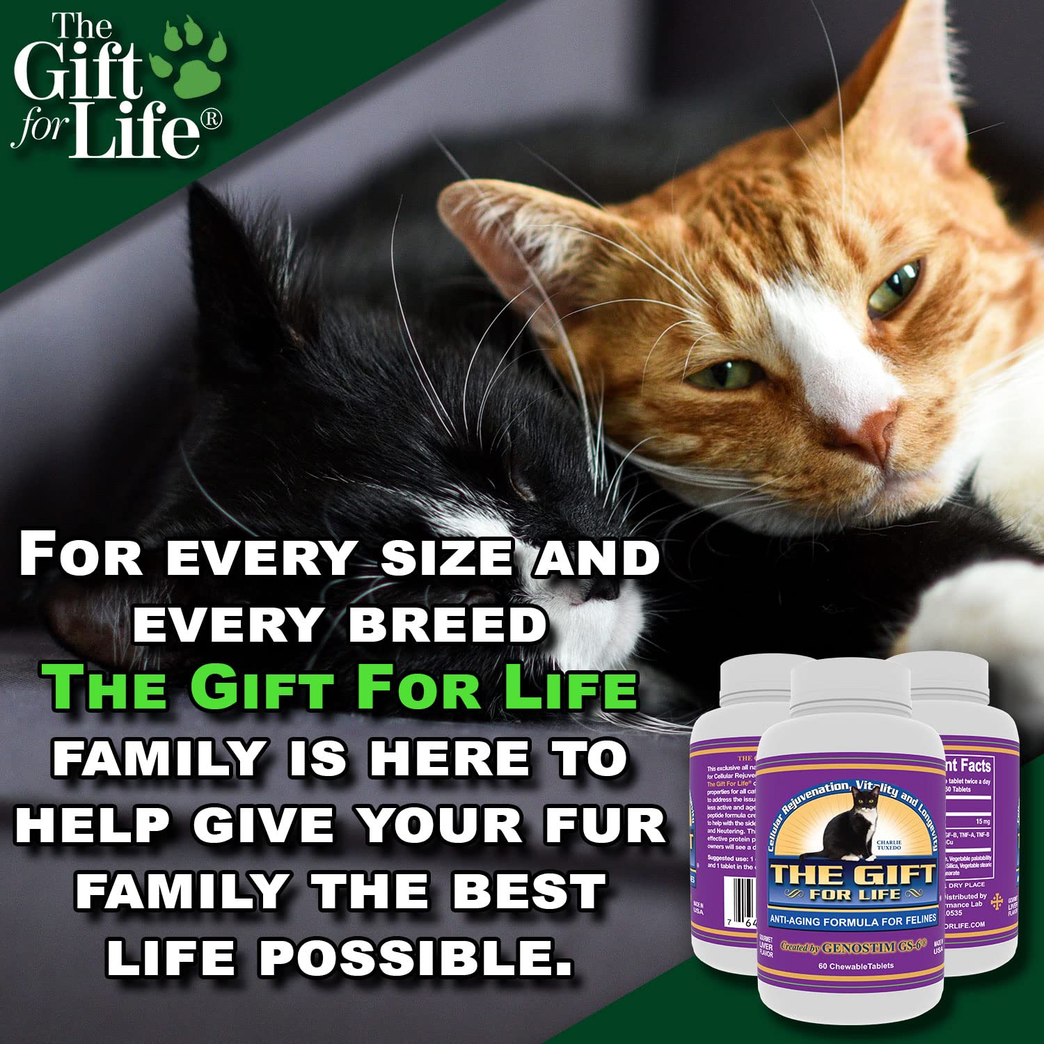 The Gift for Life Feline: Prrr-fect Wellness - Your Pet's Fountain of Youth!