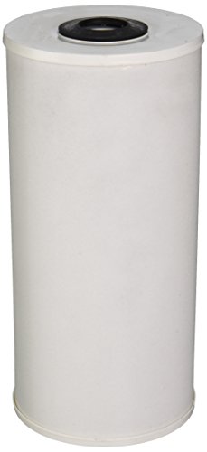 Pentair Pentek RFFE10-BB Big Blue Water Filter, 10-Inch, Whole House Radial Flow Iron Reduction Replacement Cartridge, 10" x 4.5"