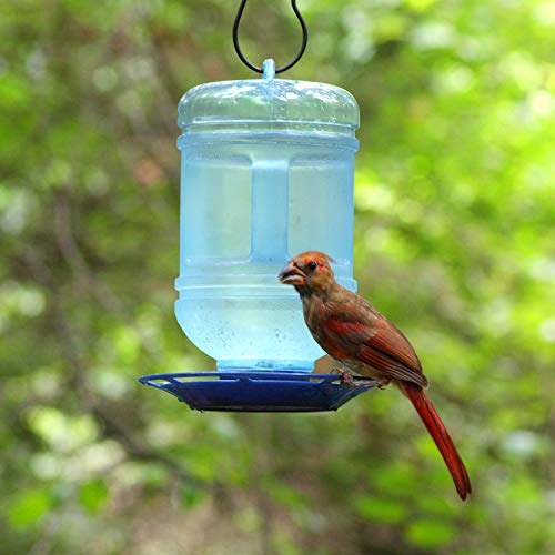 Perky-Pet 780 Outdoor Hanging Water Cooler Bird Waterer and Dispenser,Blue, 1.5 Qt Capacity