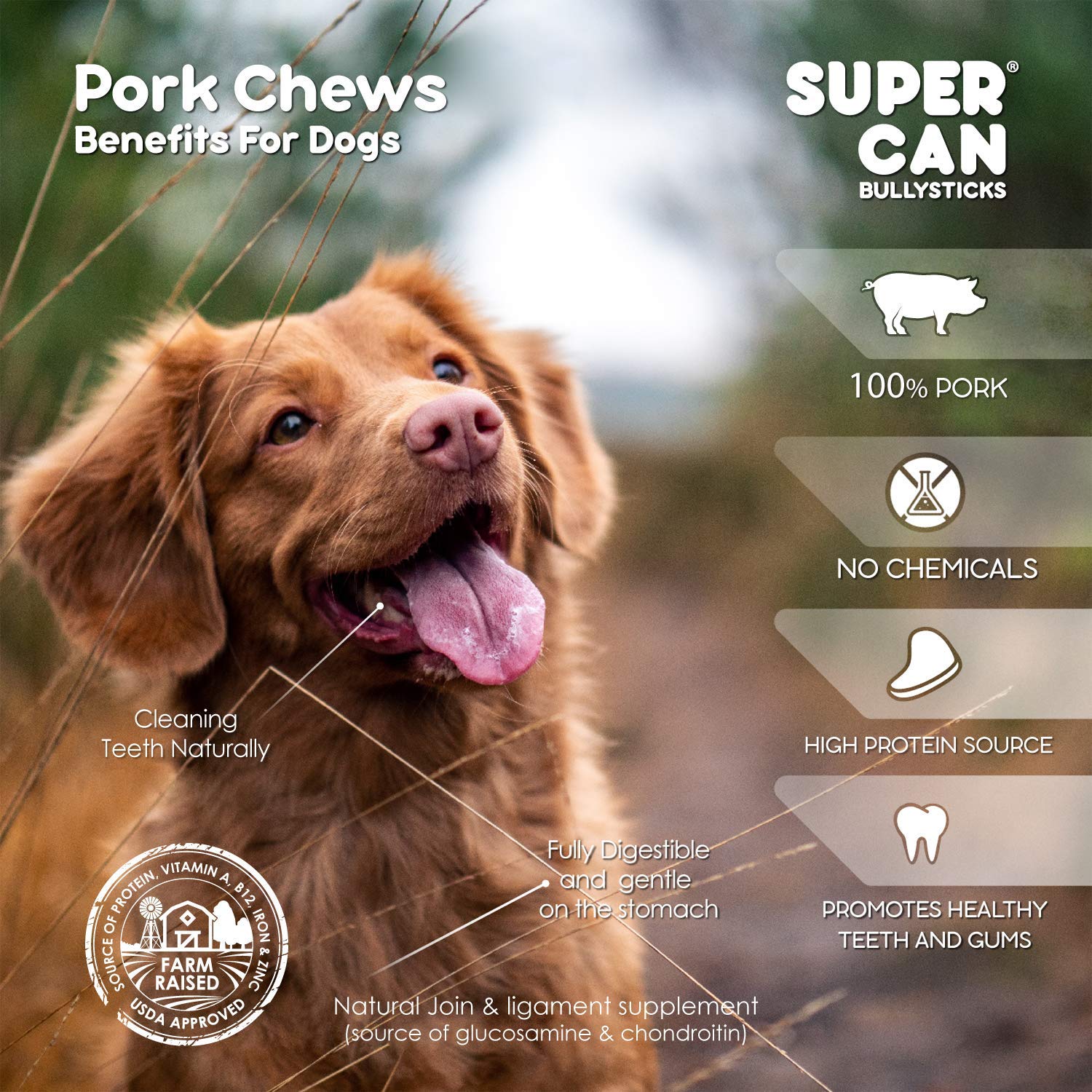SUPER CAN BULLYSTICKS Pork Lung Bites Dog Treats (12oz) | 100% Natural Chews | High in Vitamin B6, B12, C, Iron, Copper & Zinc | Training Treats for Small Dogs