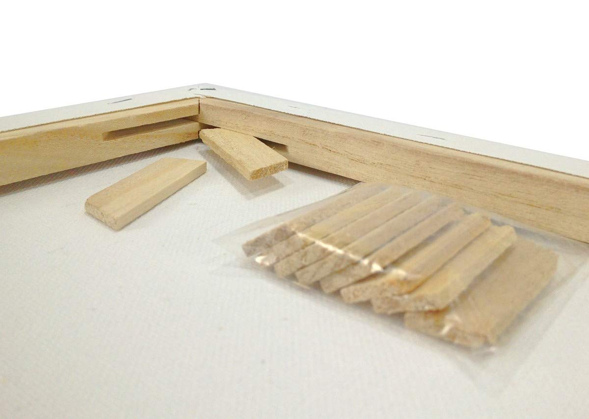 EDM Lot 2 Artist Canvas 8x10 Blank Pre-Stretched Framed Cotton Double Gesso
