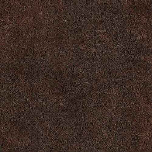 Lexicon Derringer Wall Hugger Power Double Reclining Loveseat, Brown