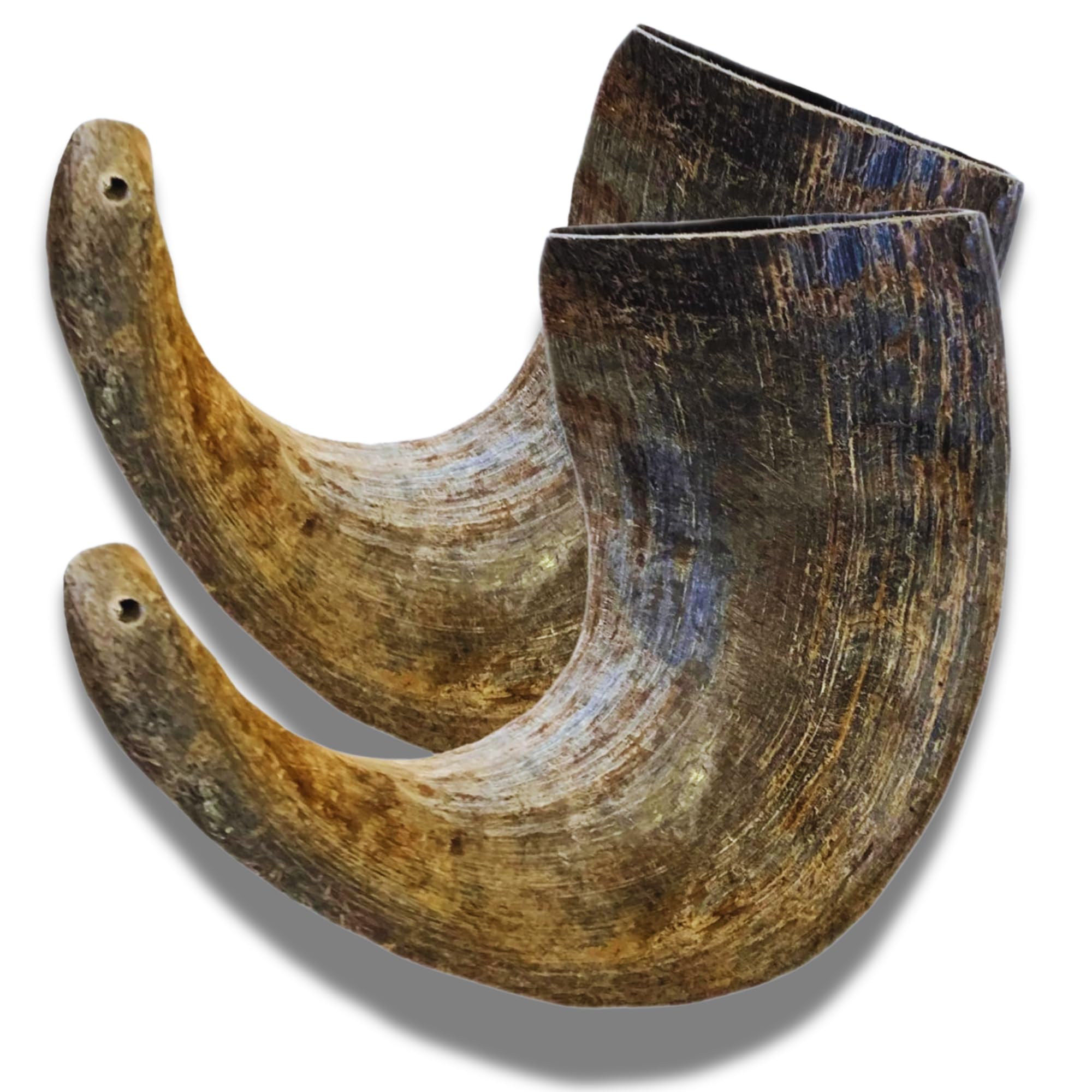 WhiteTail Naturals - Water Buffalo Horns for Dogs (2 Pack Large) All-Natural Dog Bone - Long Lasting Chew Bone for Aggressive Chewers and Teething Puppies