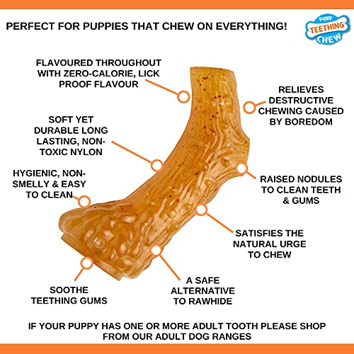 Nylabone Puppy Chew Gentle Chewing Puppy Antler Alternative Chicken Flavored Dog Chew Toy, Petite