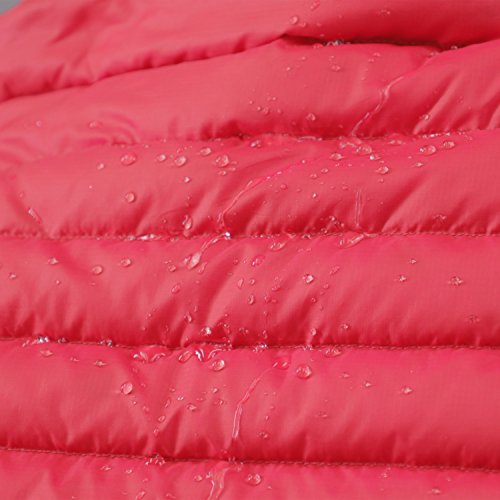 GEAR AID unisex-adult Revivex Durable Water Repellent (DWR) Spray for Reproofing Jackets, 16.9 fl oz, Clear