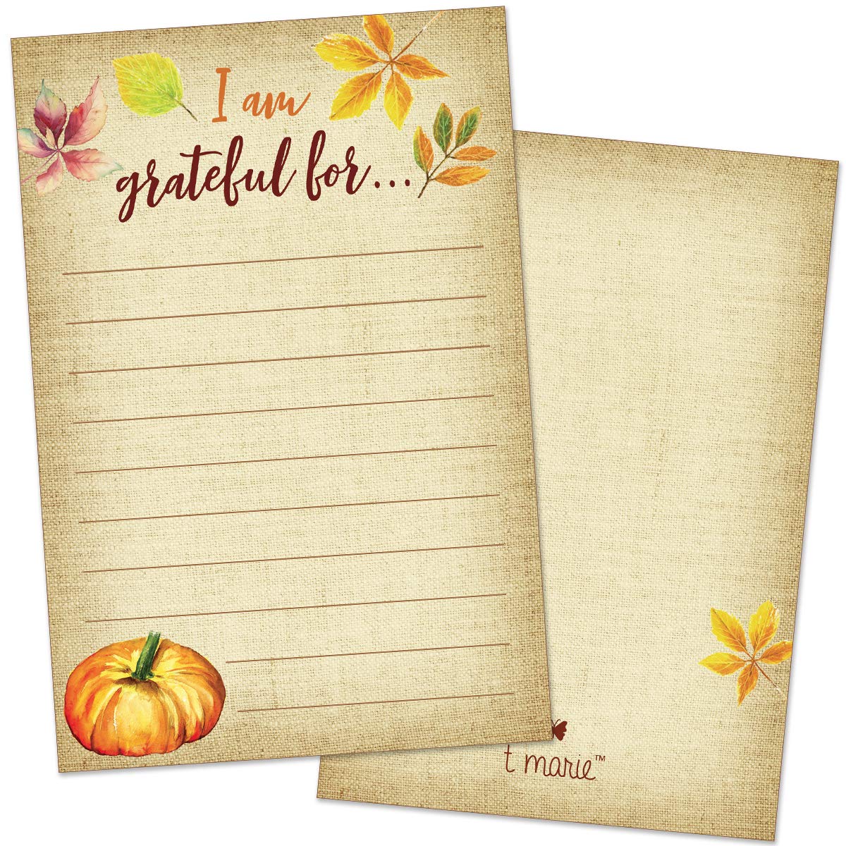 T MARIE 50 Happy Thanksgiving Postcards - 4"x6" Blank Bulk Greeting Cards Set for the Fall - Vintage Pumpkin and Autumn Leaves Thank You Note Pack for Business, Family and More