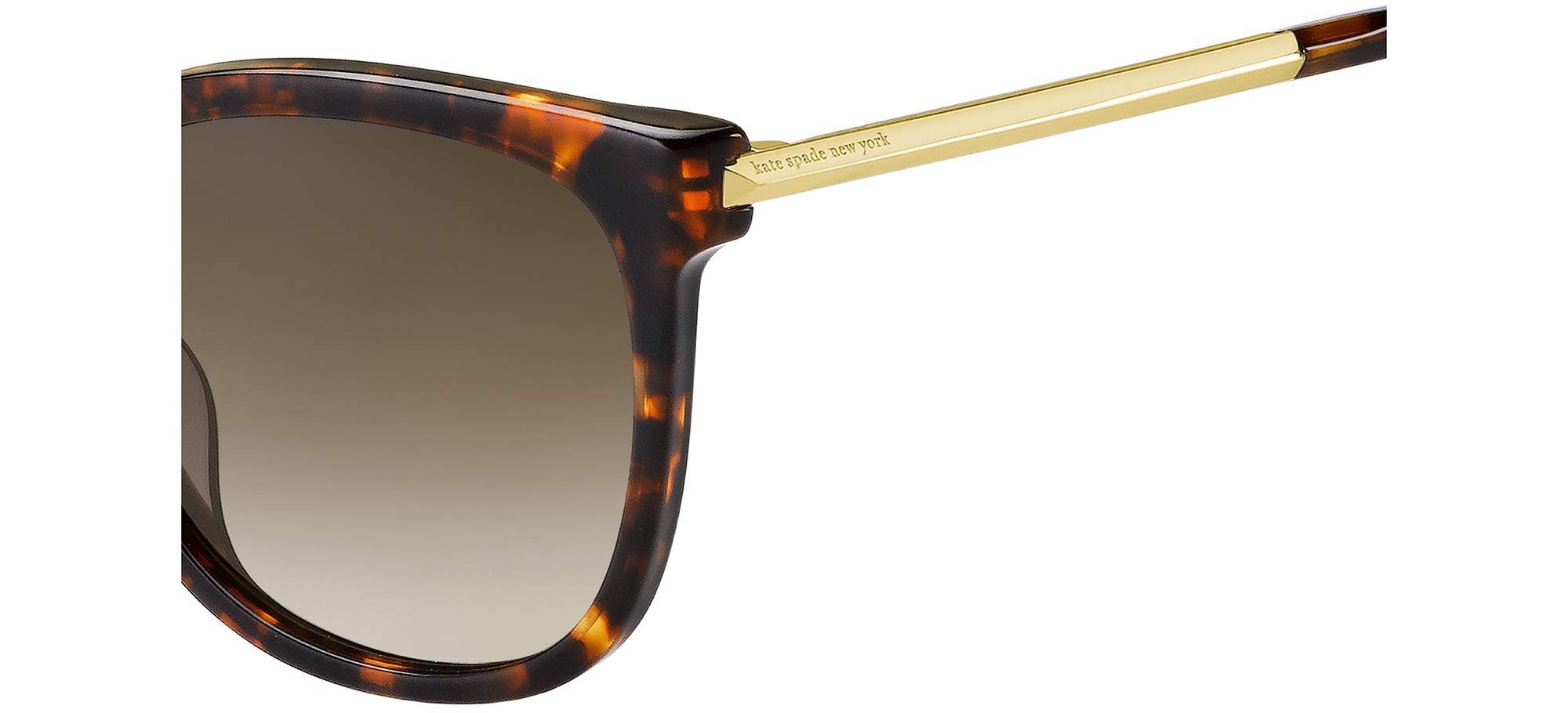 Kate Spade New York Women's Britton/G/S Polarized Square Sunglasses, Burgundy/Black Havana, One Size