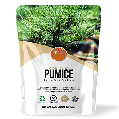 Ho Yoku Pumice for Plants, 2.25 Quarts, Horticultural American Pumice Rocks, Additive for Bonsai Soil, Succulent Soil, or Houseplants