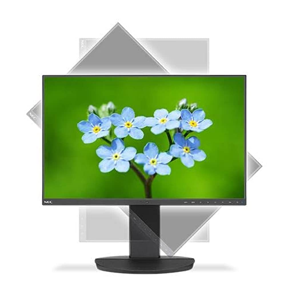 NEC EA231WU-BK 23 WUXGA Business-Class Widescreen Desktop Monitor with Ultra-Narrow Bezel (Renewed)