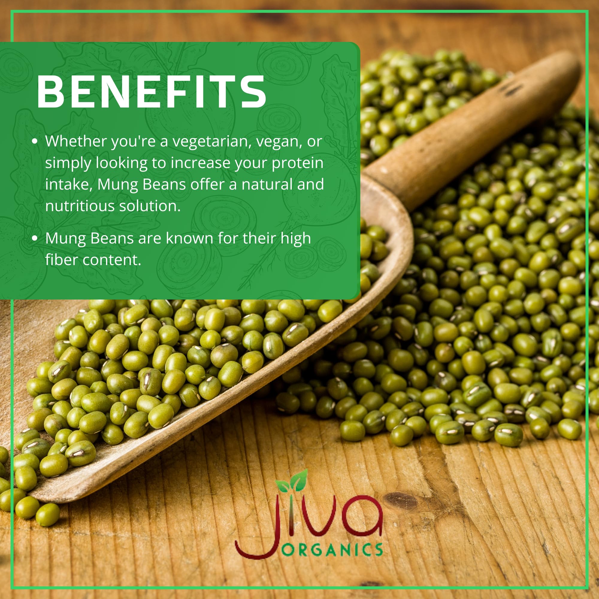 Jiva Organic Mung Bean - Mung Moong Beens Whole for Sprouting and Cooking - 2 lb Bean Bag – Indian Spices