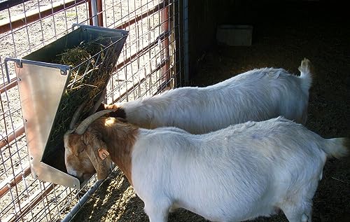 Little Giant Classic Heavy Duty Metal 2 in 1 Goat and Sheep Hay Feeder with Hook Over Design Mounts for Farm Animal and Livestock Feeding