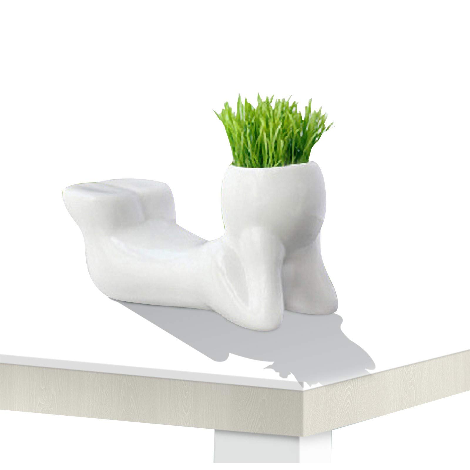 Lincox Mini Bonsai Head Grass Doll Hair White Ceramic Plant Garden, Tree Doll Grass Pot, Ceramic Air Head People Planters Air Plant Holders Table Top Display Planters for Mini Plants Garden Decor (C)