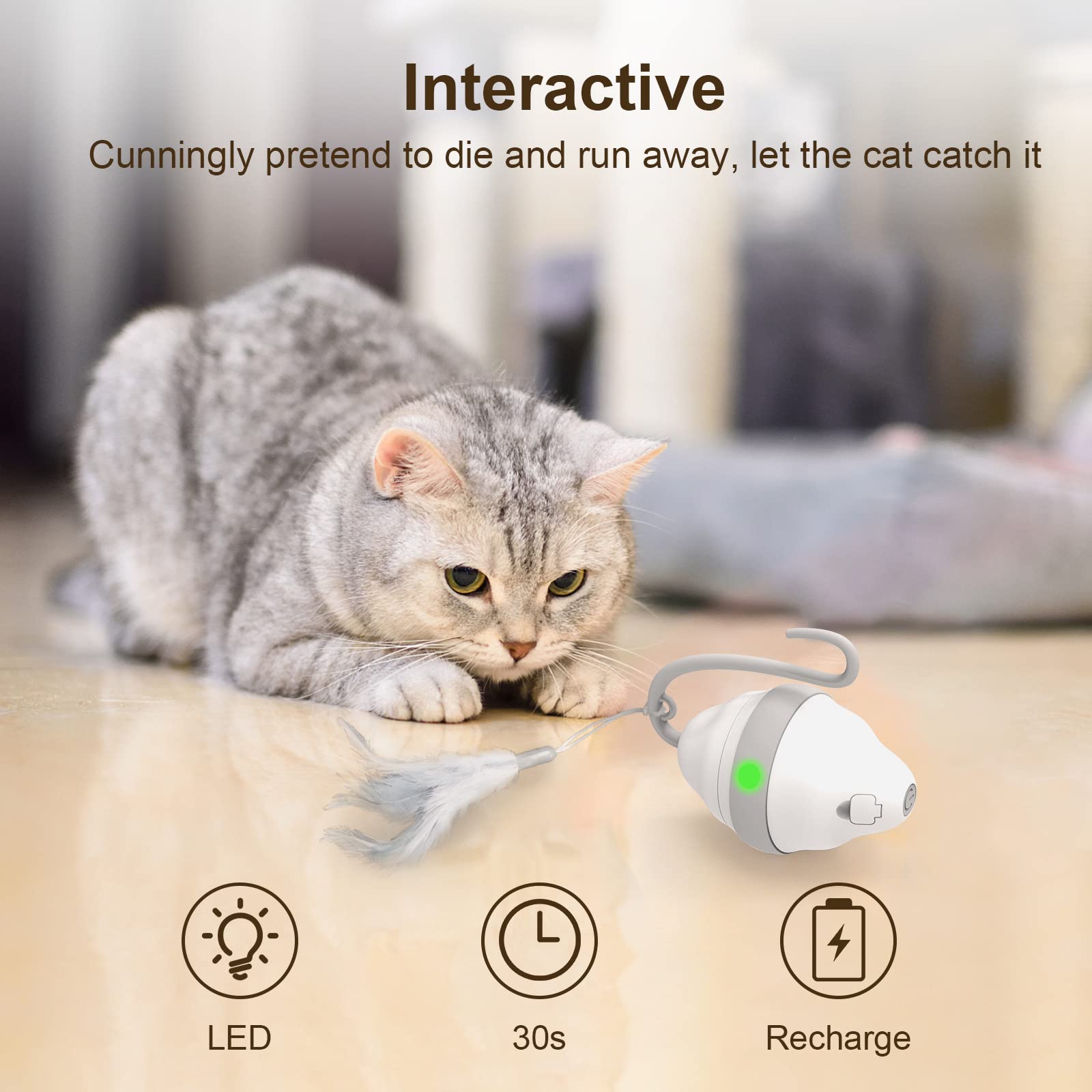 Found Notice Interactive Cat Toy - N in 1 Automatic Moving Ball with LED Lights, Mice Feather Toys for Cats/Puppies, Two Speeds, and USB Rechargeable (Grey)