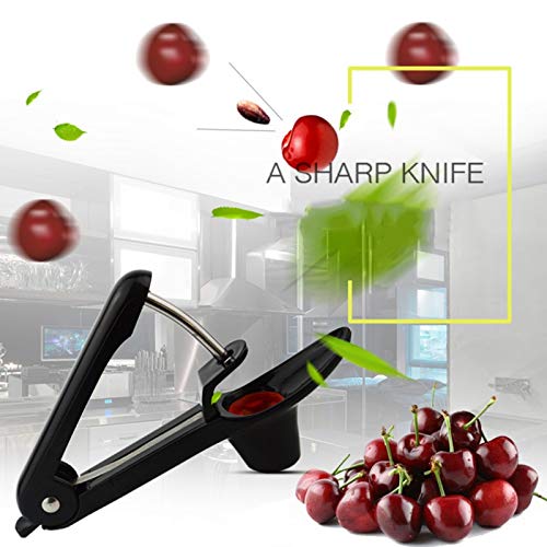 Hovico Cherry Pitter Remover,Cherry Fruit Kitchen Olive Core Remove Pit Tool Seed Gadget Stoner Corer Pitter Remover,Portable Cherry Pitter Tool Kitchen aid with Space-Saving Lock Design (Black)